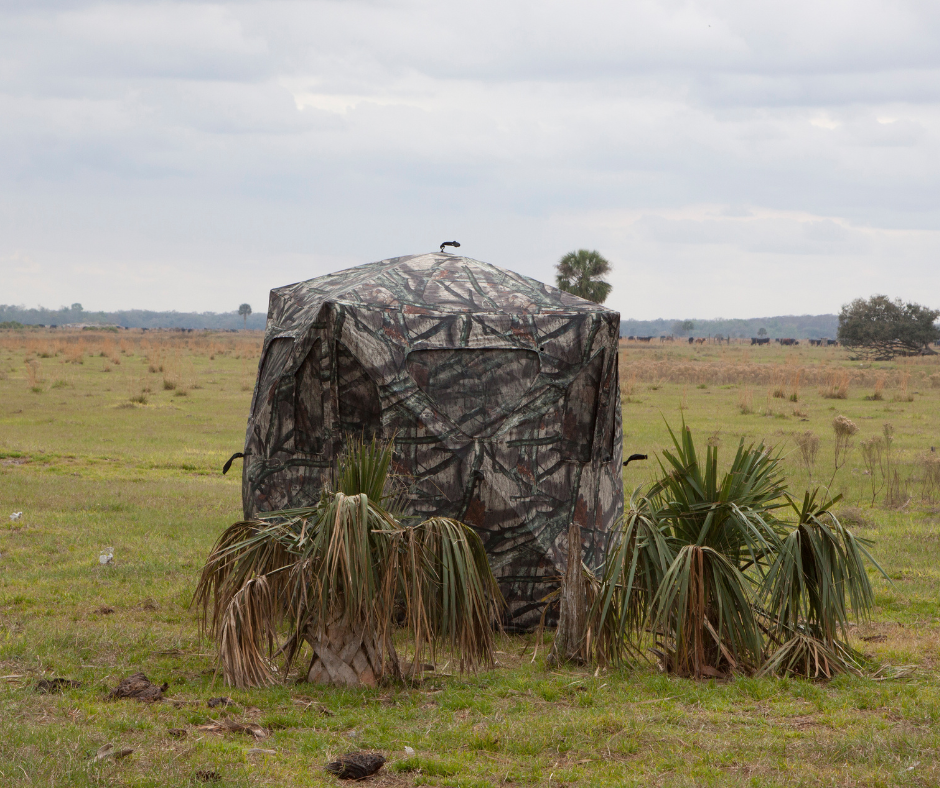 Hunting vs. Livestock Farming – Which is More Sustainable - Free-RangeDad