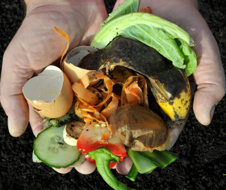 How to compost the easy way - Free-RangeDad